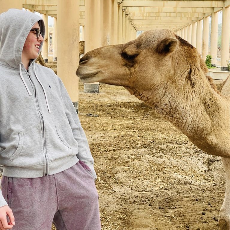 Bahrain Fun Tours W.L.L – Amazing Bahrain Tours & Activities